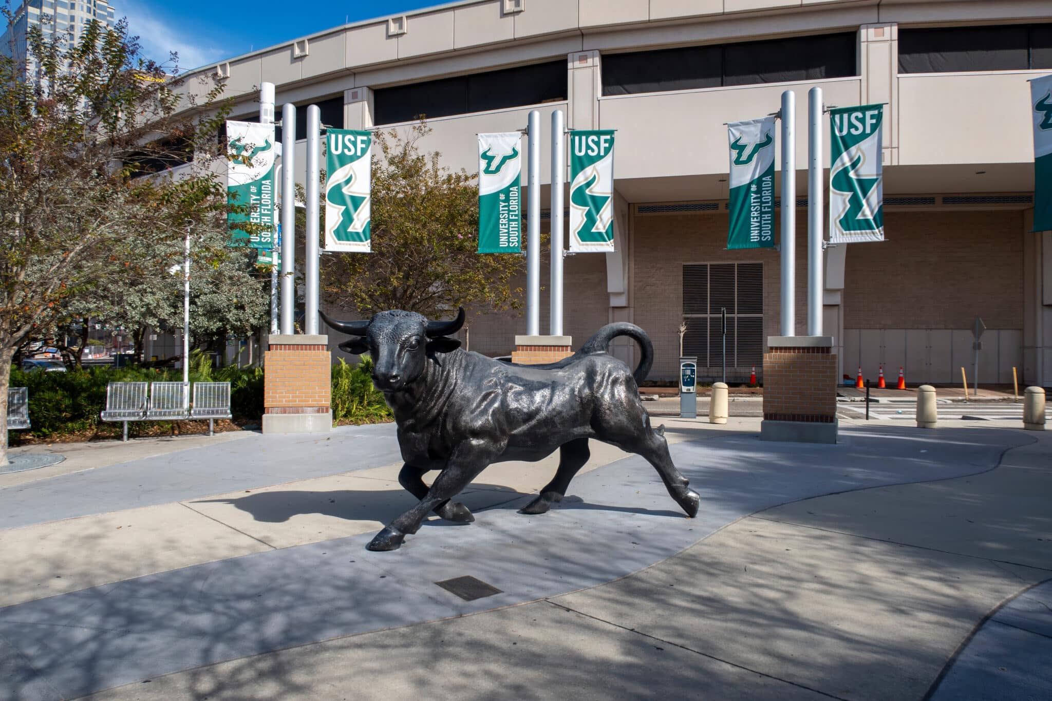 BULLS ON THE RISE: South Florida Bulls Football Is Ready To Make The ...